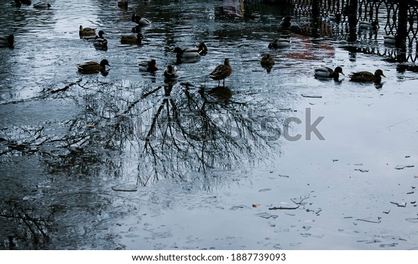 Technical Problems Collection System Reservoir Park Stock Photo ...