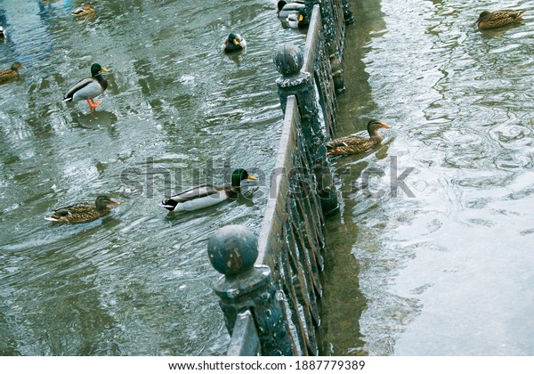 Technical Problems Collection System Reservoir Park Stock Photo ...