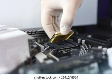 Technician Plug Cpu Microprocessor Motherboard Socket Stock Photo ...