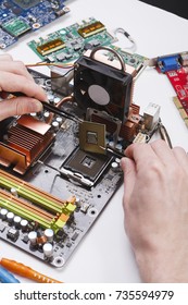 Technician Plug Cpu Microprocessor Motherboard Computer Stock Photo ...