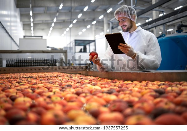 Technologist doing quality control of apple fruit production in food ...