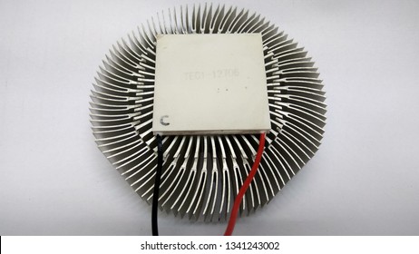 Peltier Images, Stock Photos & Vectors | Shutterstock