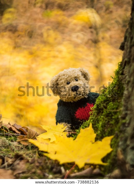 Teddy Bear Forest Stock Photo 738882136 | Shutterstock