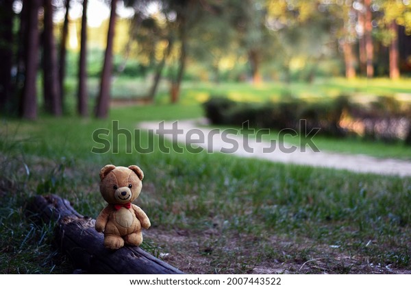 Teddy Bear Forest Summer Summer Background Stock Photo 2007443522 ...