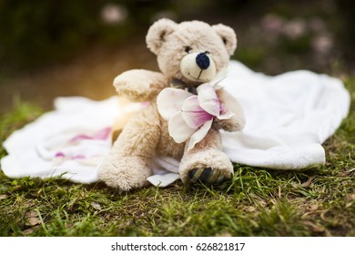 Teddy Bear Spring Stock Photo 626821817 | Shutterstock