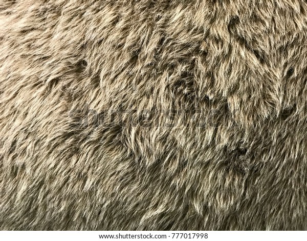 Teddy Bear Texture Stock Photo (Edit Now) 777017998