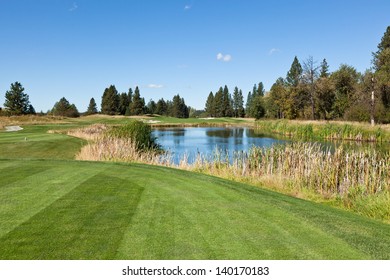 81 Tee off area Images, Stock Photos & Vectors | Shutterstock