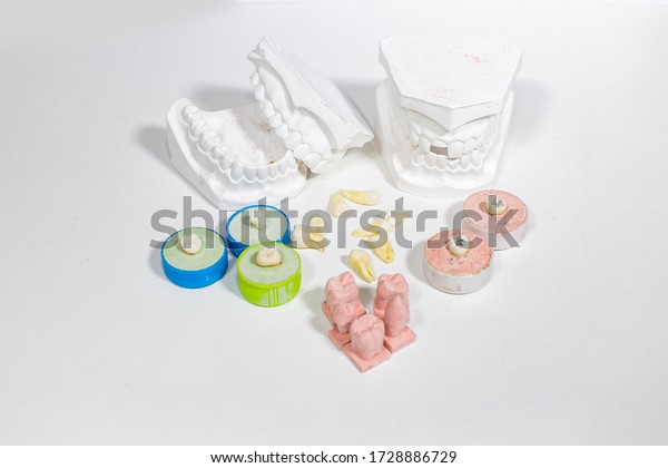 Teeth Model Blocks Teeth Blocks Made Stock Photo (Edit Now) 1728886729