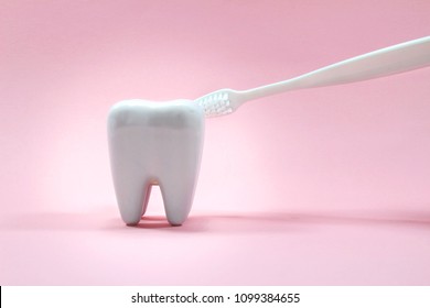 Dental Explorer Probe Healthy Tooth Model Stock Photo (Edit Now) 1101386537