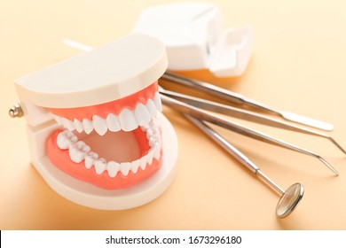 Teeth Model Dental Instruments Thread On Stock Photo 1673296180 ...