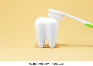 Teeth Model Toothbrush Cleaning Stock Photo 780136033 | Shutterstock