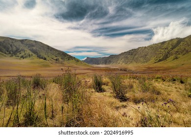 579 Teletubbies landscape Images, Stock Photos & Vectors | Shutterstock