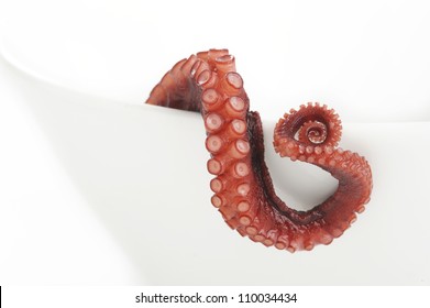 Tentacles Octopus Stock Photo 110034434 | Shutterstock