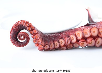 Tentacles Octopus Stock Photo 169439183 | Shutterstock