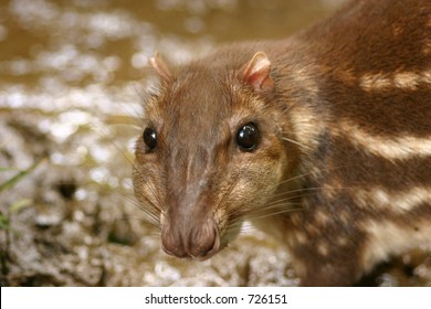 Stock Photo and Image Portfolio by Alvaro Pantoja | Shutterstock