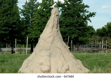 由 Tony Snape 投稿的库存照片和图片组合 | Shutterstock