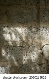 307 Termite tracks Images, Stock Photos & Vectors | Shutterstock
