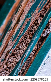764 Termite Door Images, Stock Photos & Vectors | Shutterstock