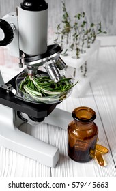 Test Herbs Samples On Microscope Laboratory Stock Photo 579445663 ...