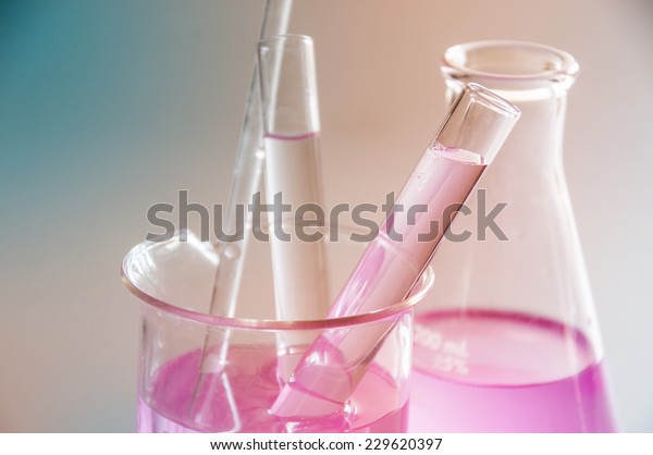 Test Tubes Erlenmeyer Flask Laboratory Stock Photo (Edit Now) 229620397