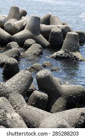 Tetrapod Stock Photo 285288203 | Shutterstock