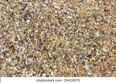 Texture Background Fine Particles Shells On Stock Photo 294159575 ...