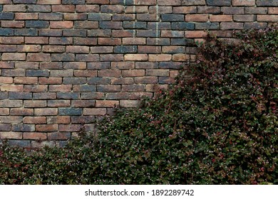 199,644 Brick wall with plants Images, Stock Photos & Vectors ...