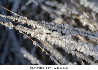 209 imágenes de Below frost line - Imágenes, fotos y vectores de stock ...
