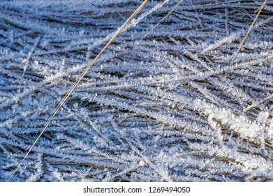209 imágenes de Below frost line - Imágenes, fotos y vectores de stock ...