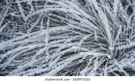 209 imágenes de Below frost line - Imágenes, fotos y vectores de stock ...