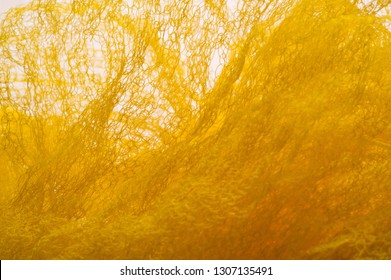 Texture Background Pattern Mesh Yellow Fabric Stock Photo 1307135491 ...