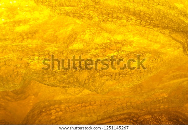 Texture Background Pattern Mesh Yellow Fabric Stock Photo 1251145267 ...