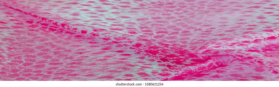 Cross Section Lymph Node Under Microscope Foto de stock 1066673126 ...