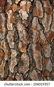 46,139 Pine bark colors Images, Stock Photos & Vectors | Shutterstock