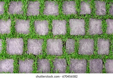 Texture Brick Path Background Stock Photo 670456582 | Shutterstock