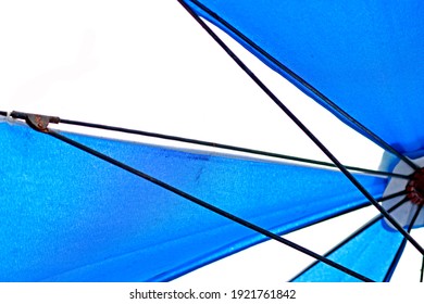 Umbellar Images, Stock Photos & Vectors | Shutterstock