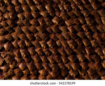 28,854 Pinecone texture Images, Stock Photos & Vectors | Shutterstock