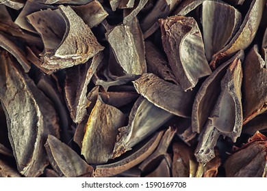 Texture Crushed Nut Shells Stock Photo 1590169708 | Shutterstock