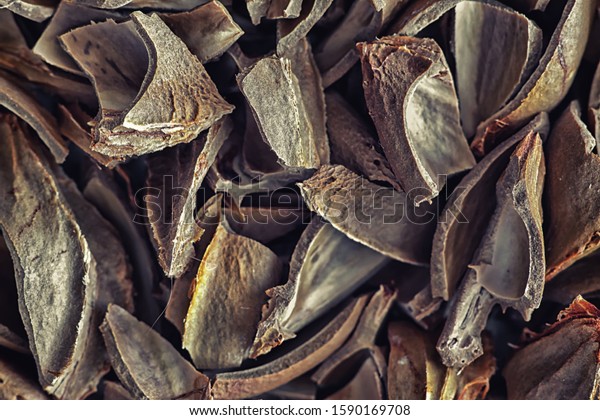 Texture Crushed Nut Shells Stock Photo 1590169708 | Shutterstock