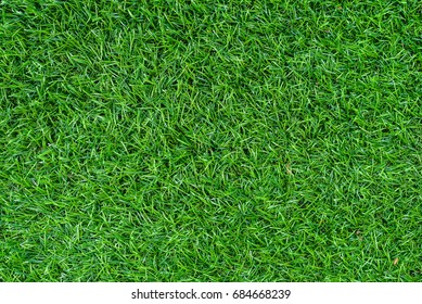 Стоковая фотография 1247500777: Green Grass Texture Background Green ...