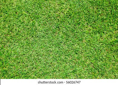 40,448 Simple grass texture Images, Stock Photos & Vectors | Shutterstock