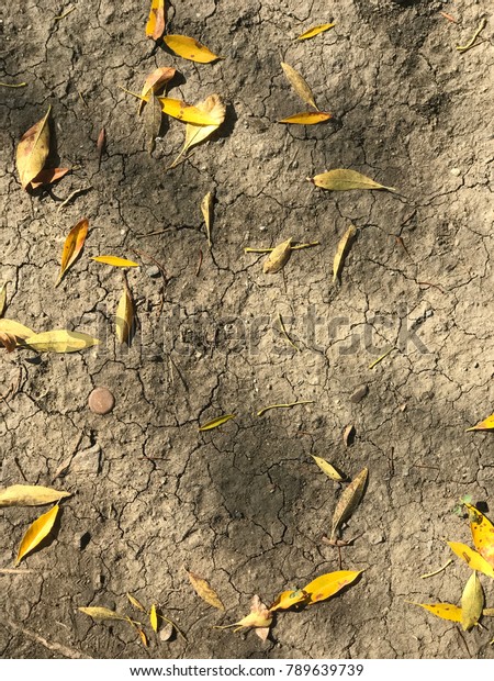 Texture Ground Background Stock Photo 789639739 | Shutterstock