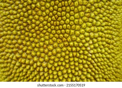 3,933 Jackfruit pattern Images, Stock Photos & Vectors | Shutterstock