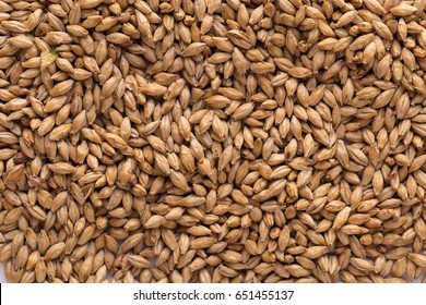 137,491 Malt Royalty-Free Images, Stock Photos & Pictures | Shutterstock