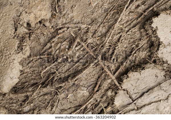 Texture Mud Wet Soil Stock Photo 363204902 | Shutterstock