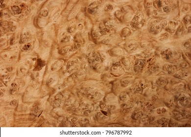 2,898 Briar wood Images, Stock Photos & Vectors | Shutterstock