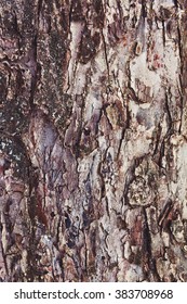 7,620 Apple tree bark Images, Stock Photos & Vectors | Shutterstock