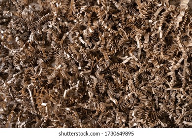 476 Paper shredding tree Images, Stock Photos & Vectors | Shutterstock