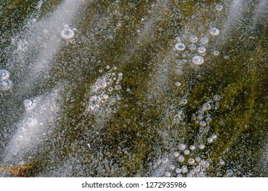 133 Barnacles cool Images, Stock Photos & Vectors | Shutterstock