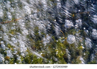 133 Barnacles cool Images, Stock Photos & Vectors | Shutterstock